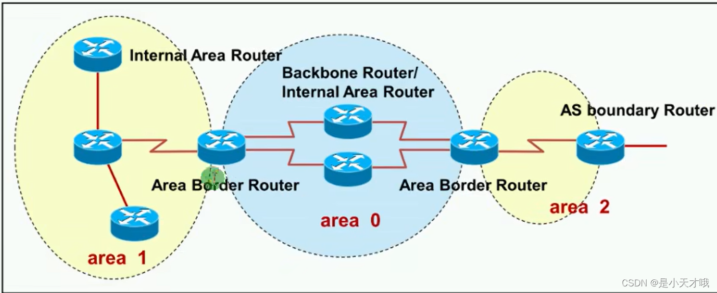 OSPF-OSPF基础_ospf工作区域-CSDN博客