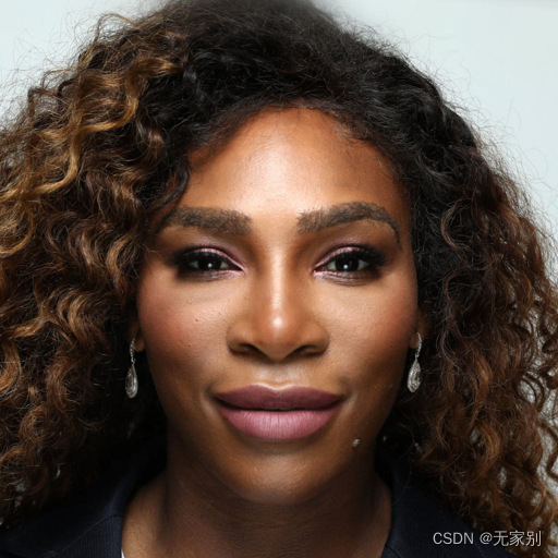 图像预处理——使用 Dlib 模型预处理图像_dlib数据预处理-CSDN博客