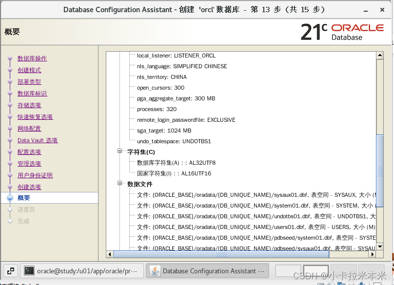 Linux 安装oracle 21c_linux kmod-libs-20-21-CSDN博客