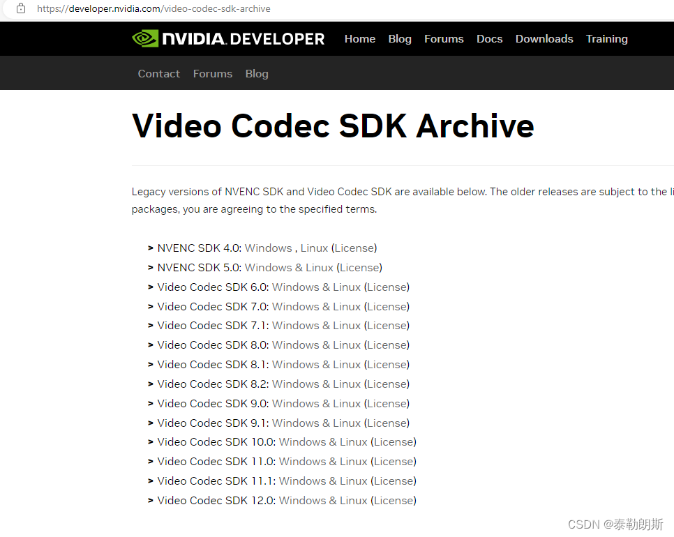 英伟达NVIDIA Video Codec SDK编译以及环境设置-CSDN博客