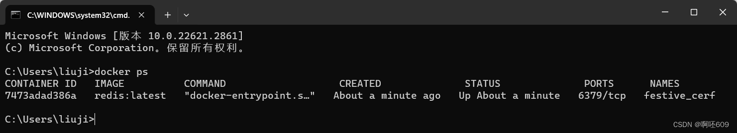 Docker（一）DockerDesktop中Redis下载与安装（win11）_docker desktop redis-CSDN博客