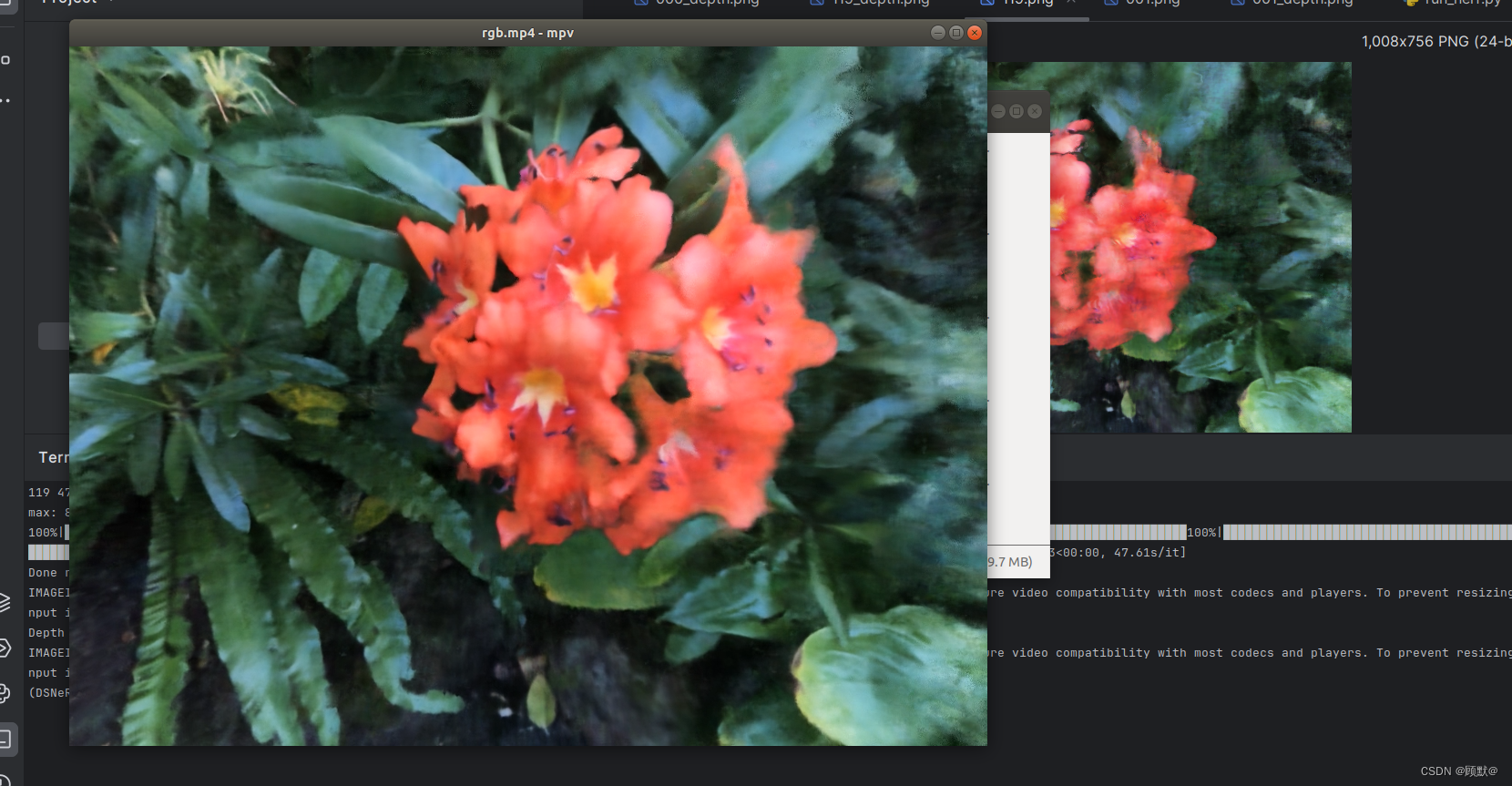 DSNeRF复现流程-CSDN博客