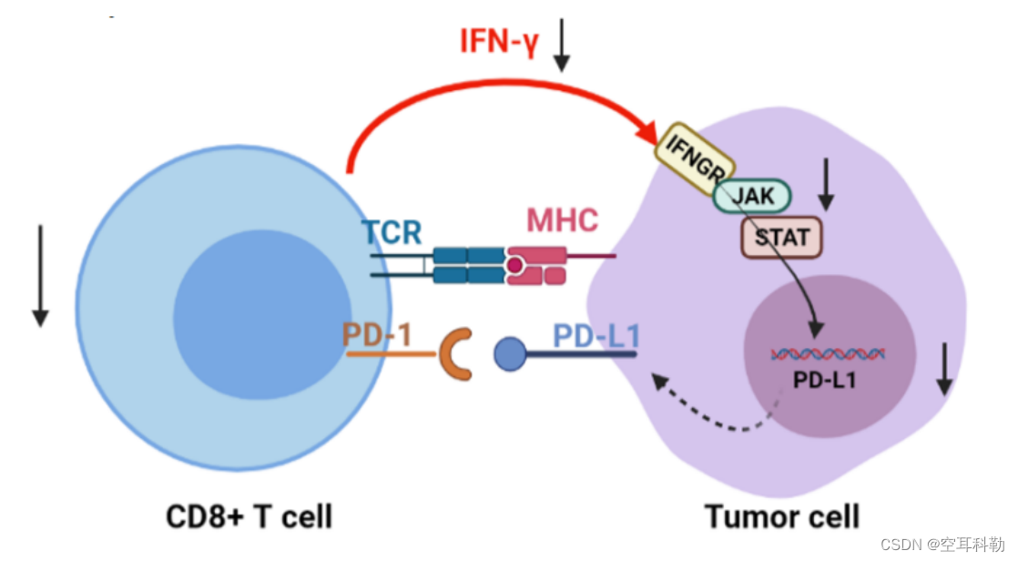 善用CTR-DB数据库，轻松揭示癌症药物抵抗机制，发现克服药物抵抗的联合用药！_ctrdb耐药数据库-CSDN博客