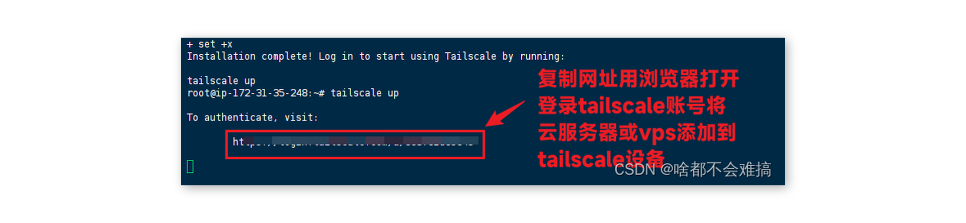 【傻呱呱】Tailscale 搭建derp中继节点（无需域名）_tailscale derp-CSDN博客