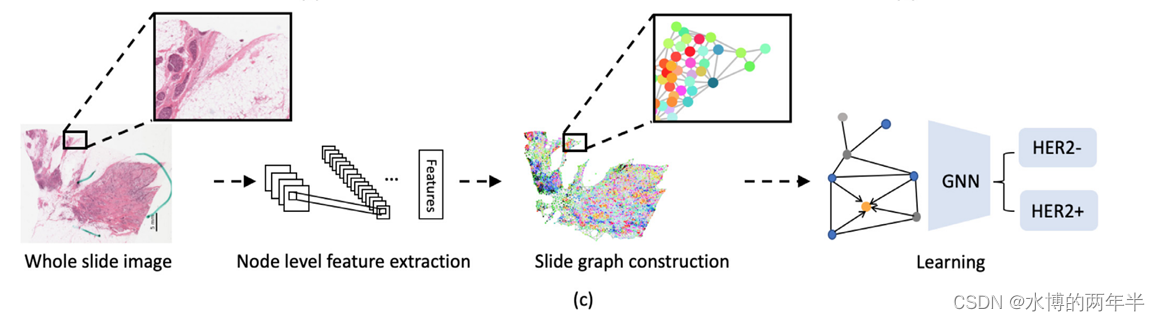 （WSI分类）WSI分类文献小综述_scaling vision transformers to gigapixel images vi-CSDN博客