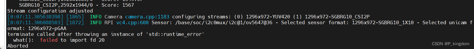 树莓派4csi摄像头启动（针对树莓派在interface options中找不到camera的情况）_树莓派进入不到libcamera目录-CSDN博客