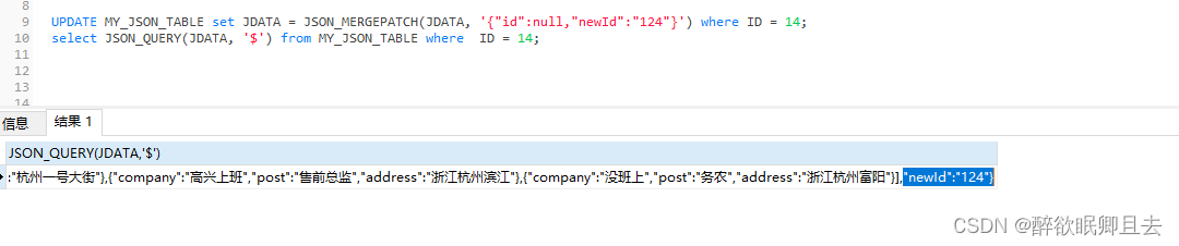 oracle19c JSON常用函数_oracle 19c json 函数-CSDN博客