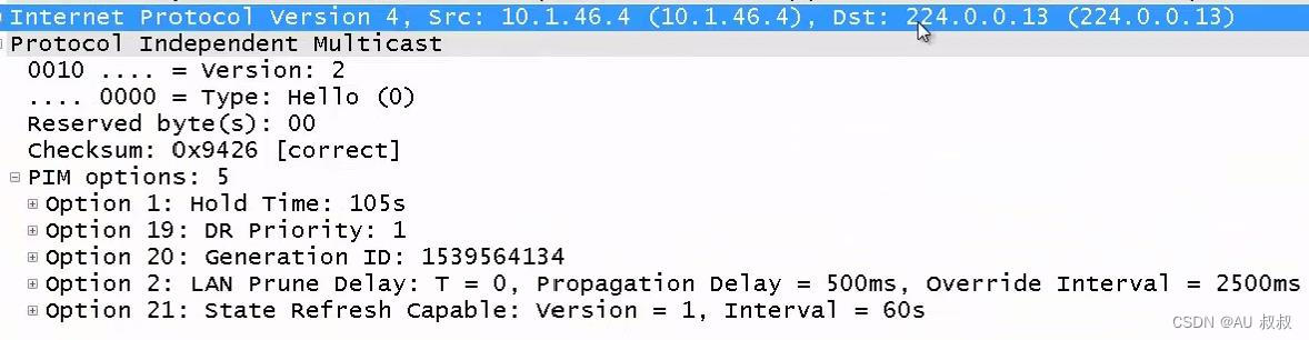 4.2-1 PIM-DM_pim v2 register报文格式-CSDN博客