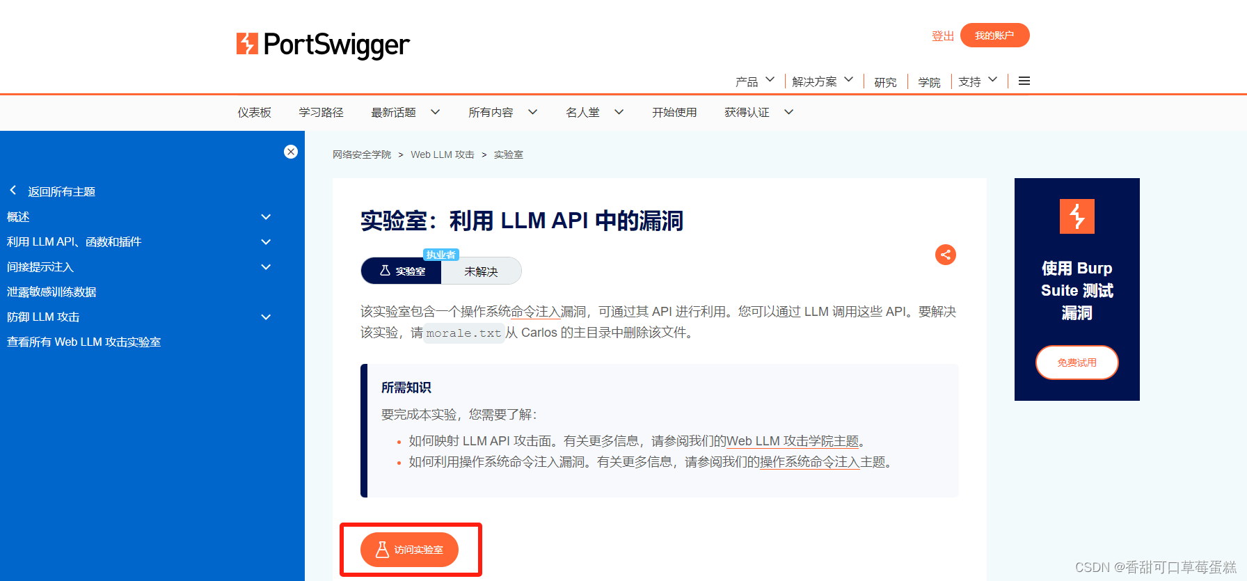 Web LLM 攻击实验：利用 LLM API 实现命令注入_lab: exploiting vulnerabilities in llm apis-CSDN博客
