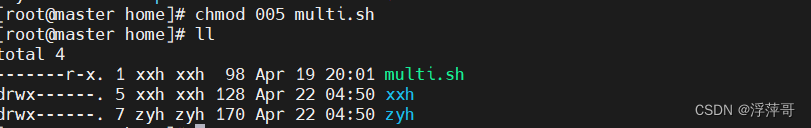 chown与chmod命令的参数含义以及基本用法_chown chmod-CSDN博客