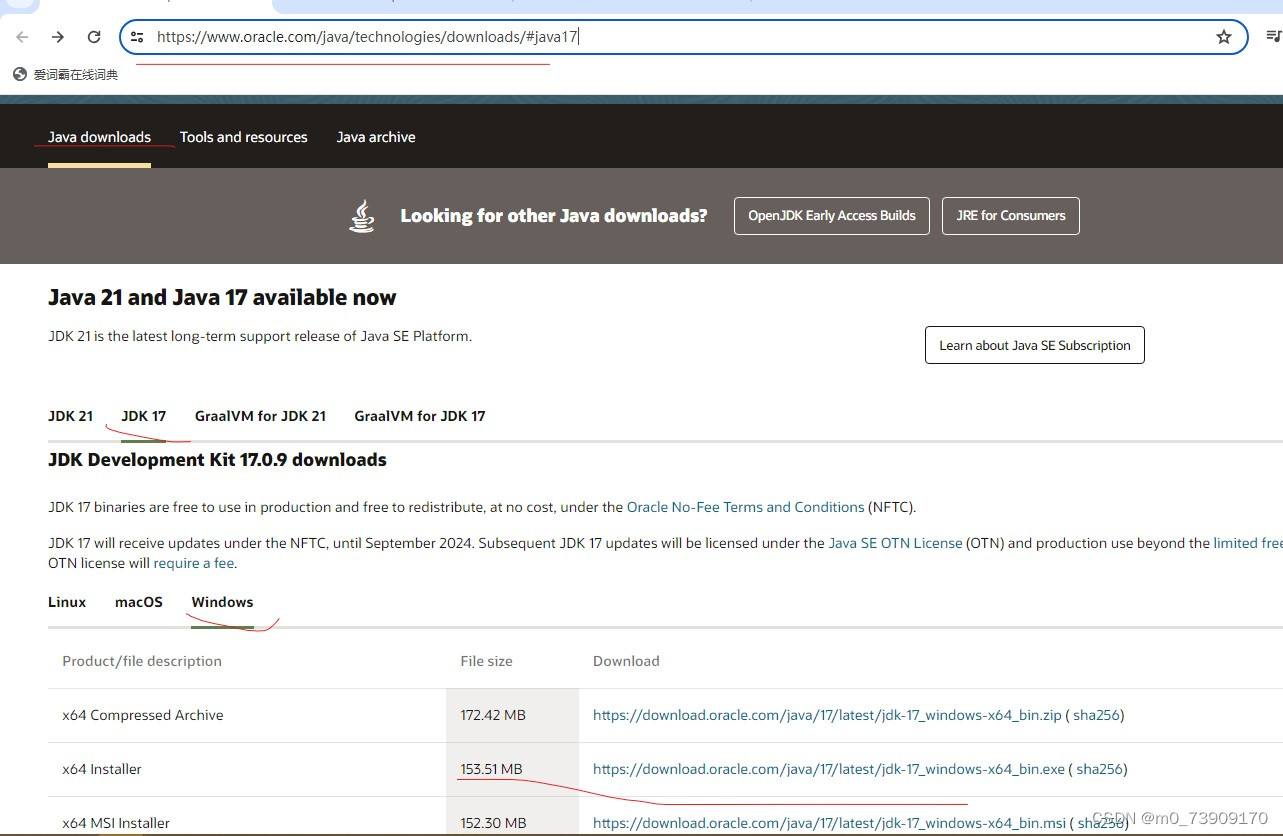 Burp suite社区版.JAR安装和JDK下载_burpsuite社区版下载-CSDN博客