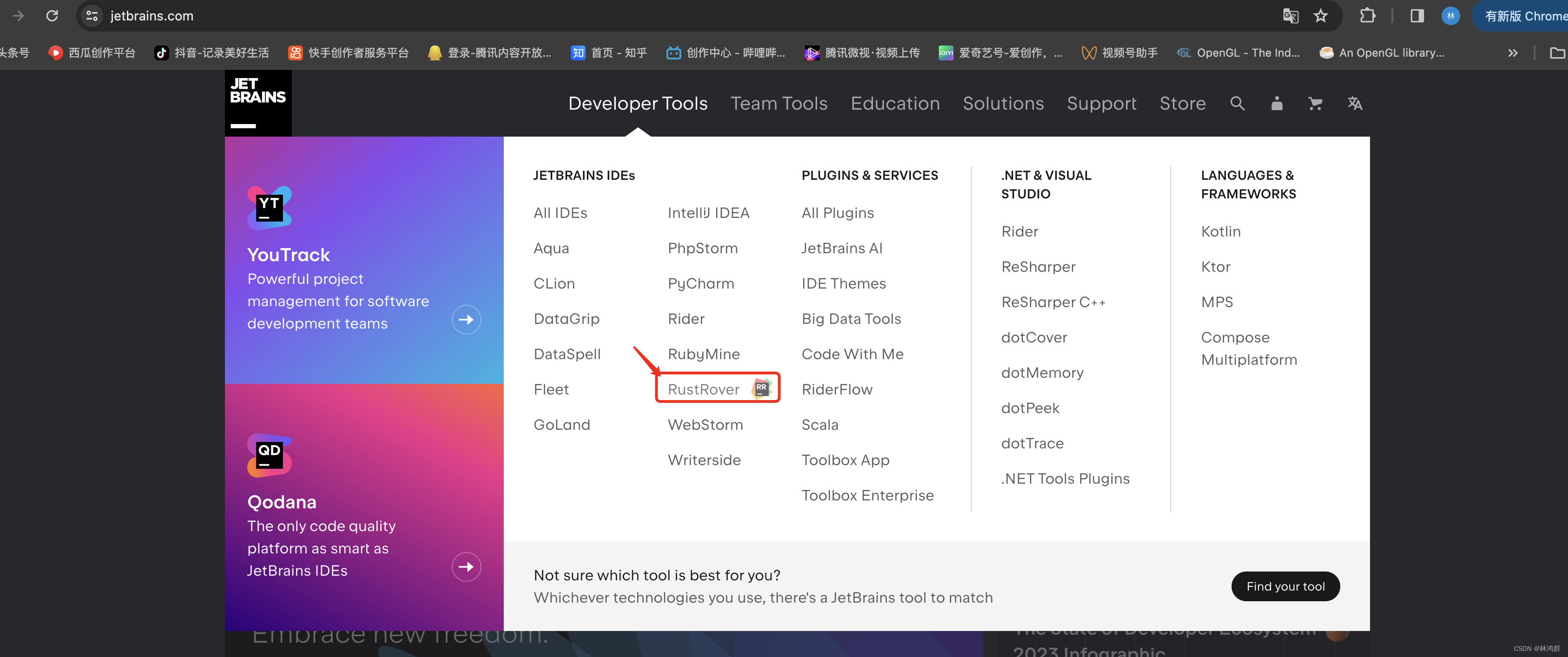 RUST工程构建工具CARGO及代码编写工具RUSTROVER使用_rust rover怎么使用cargo-CSDN博客