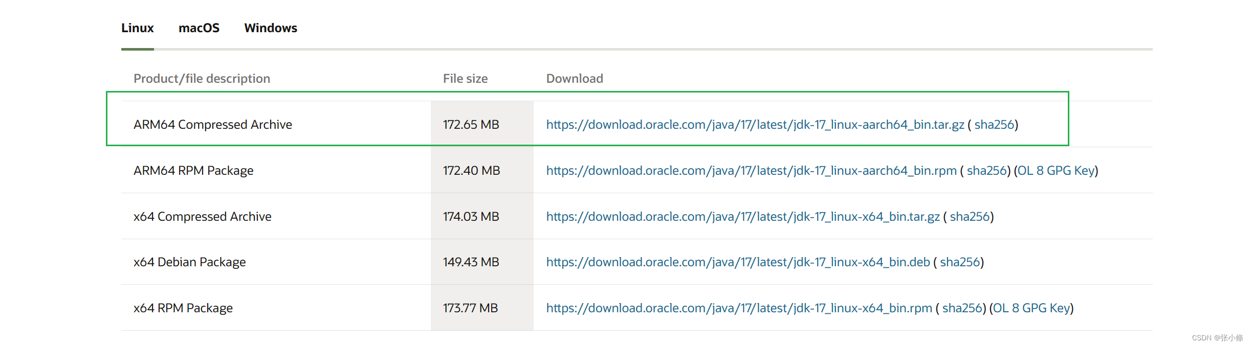 国产银河麒麟操作系统+飞腾CUP安装运行环境+ARM64架构（一、Java安装）_arm64+麒麟操作系统安装java-CSDN博客