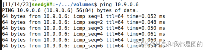 网络攻防--嗅探与欺骗_sniff and spoof python代码改变原地址-CSDN博客