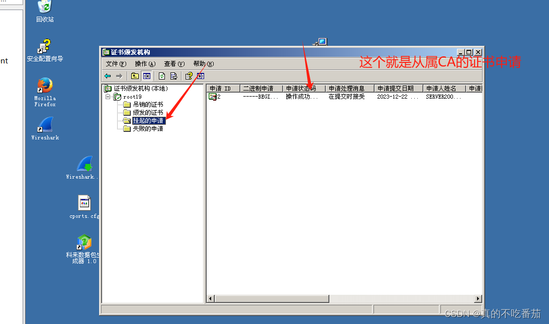 网络安全 基于Windows系统部署CA_构建基于windows的ca系统-CSDN博客