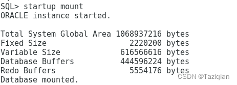 【问题记录】ORA-00205: ?????????, ??????, ???????-CSDN博客