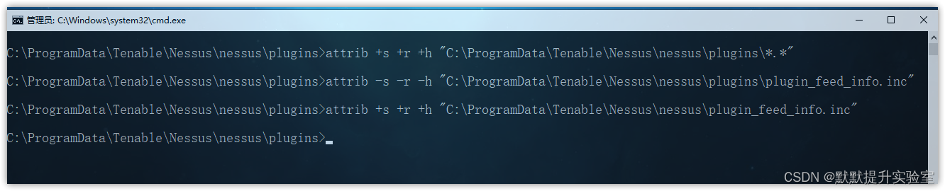 Nessus10.7.1 安装详细步骤（Windows）-CSDN博客