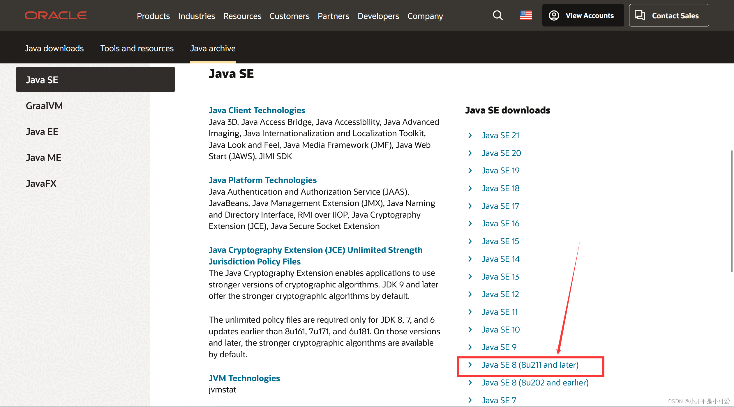 win11安装Java环境详细教程_win11 java环境配置-CSDN博客