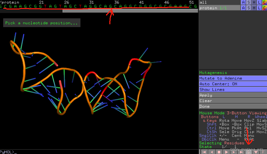 如何使用Pymol把RNAcomposer合成的三级RNA结构转变为DNA结构_pymol如何更改碱基形状-CSDN博客