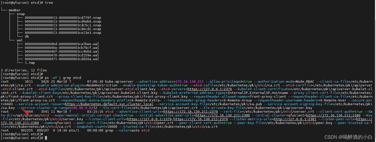 api-server、etcd、scheduler、controller 配置文件_apiserver配置文件-CSDN博客