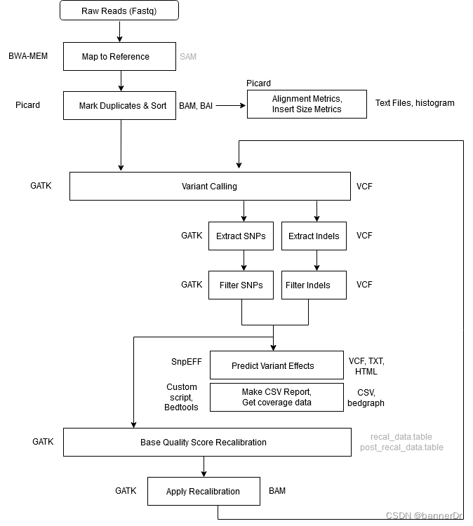 snp calling software & methods_基因组学的snp calling-CSDN博客