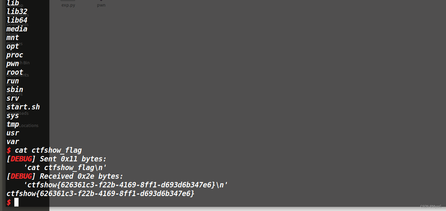CTFshow-PWN-栈溢出（pwn41-pwn42）_ctf pwn42-CSDN博客