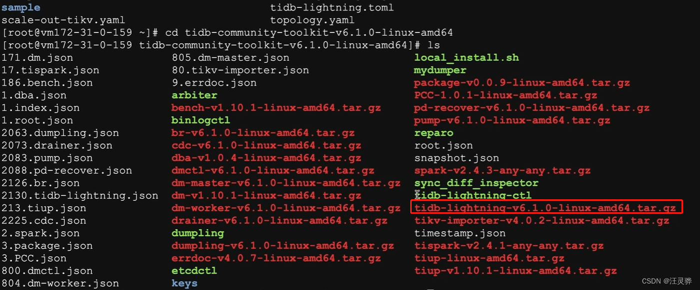 tidb-逻辑备份（6）-lightning导入工具的部署、使用_tidb lightning-CSDN博客