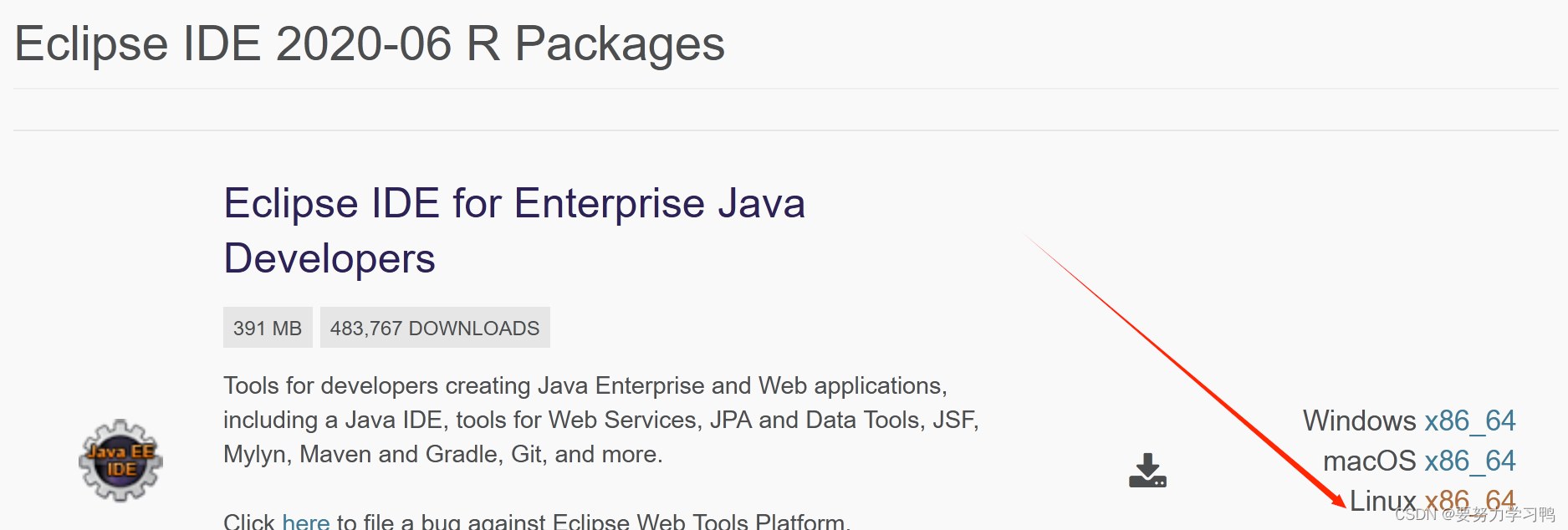 Linux下配置Java环境并安装eclipse详细教程_eclipselinux安装教程-CSDN博客