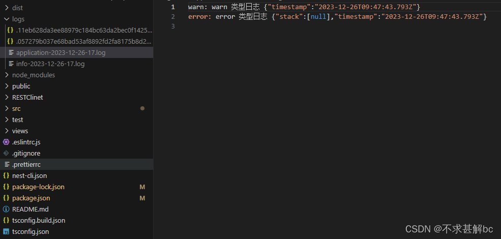 nestjs日志存储到logs文件夹_nestjs loger-CSDN博客