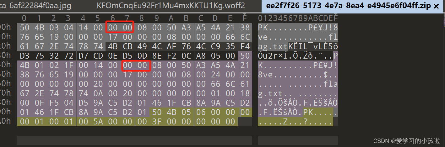 BUUCTF:Zip伪加密_buuctf zip伪加密-CSDN博客