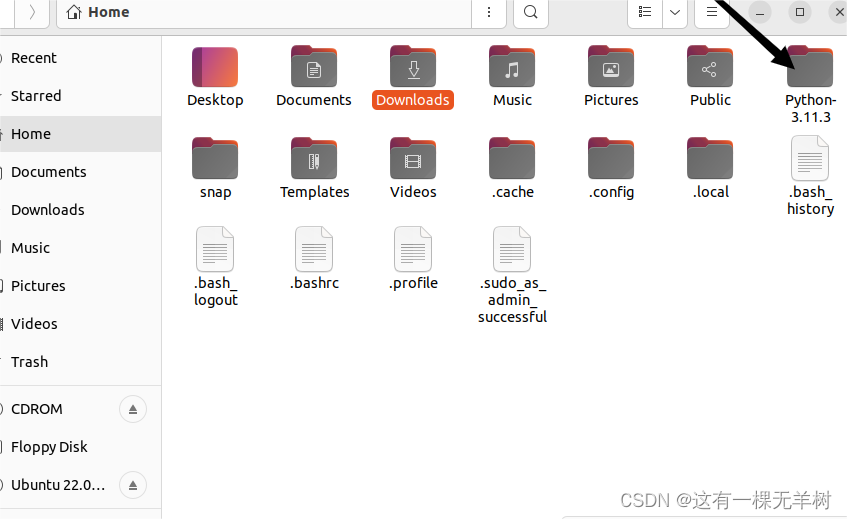 linux系统连接dummy机械臂_dummy-robot-CSDN博客
