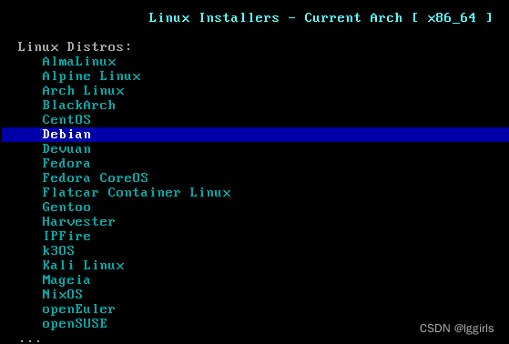 利用Netboot.xyz在VPS上重装最新版Linux系统-CSDN博客