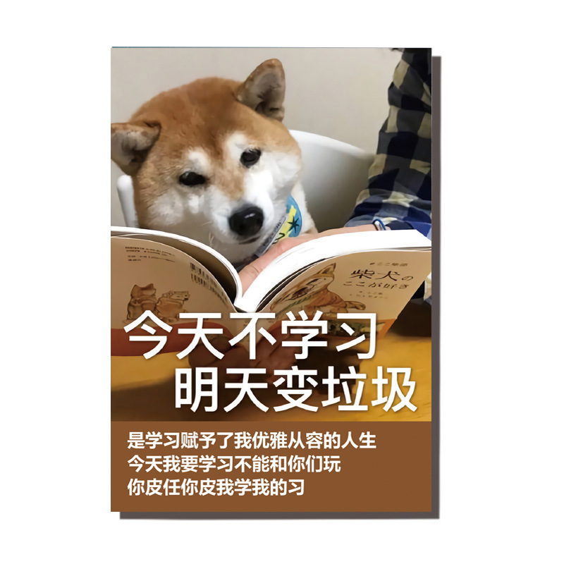 麻醉医生的深度学习之旅 P7：咖啡豆识别（VGG-16复现）-CSDN博客