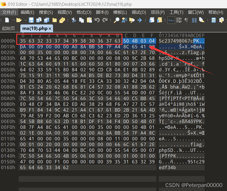LitCTF 2024（公开赛道）部分 wp_[litctf 2024]女装照流量-CSDN博客