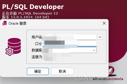 【教程】PL/SQL DEVELOPER 12（64bit） 汉化_plsql怎么改成中文-CSDN博客