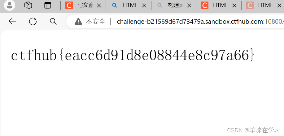 web学习~ctfhub-CSDN博客