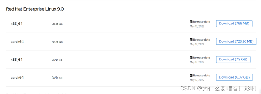 Redhat Enterprise Linux 9 新手安装和配置教程_linux9-CSDN博客