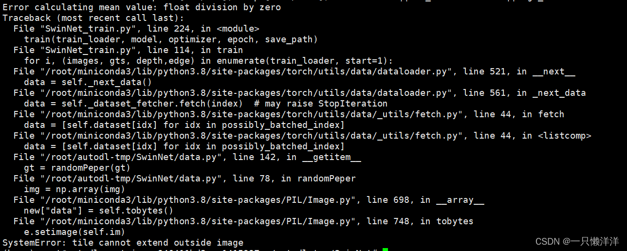 SwinNet: Swin Transformer Drives Edge-Aware RGB-D and RGB-T Salient Object Detection-CSDN博客