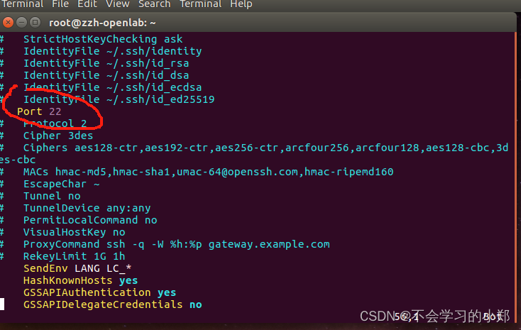 Ubuntu16.04配置ssh服务_ubuntu16.04 ssh配置-CSDN博客