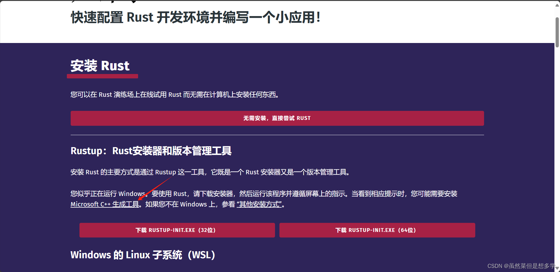 Rust安装（win版本）_windows安装rust环境-CSDN博客