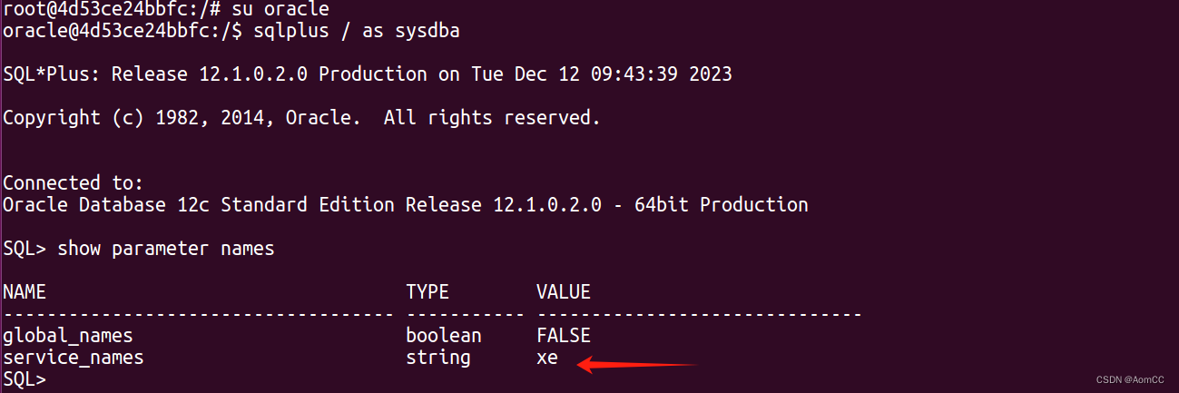 Oracle数据库sql注入环境搭建oracle注入靶场 Csdn博客