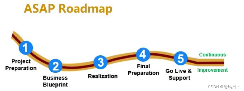 0 SAP 项目实施方法论-ASAP介绍_sap asap-CSDN博客