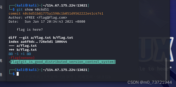bugku source_我哥说渗透我只用linux环境-CSDN博客