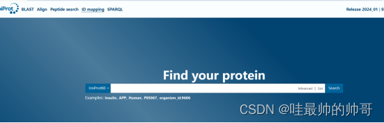 Uniprot ID 批量转化成基因名_uniprot转换基因名-CSDN博客