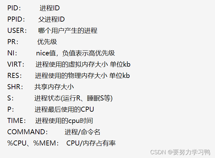 Linux常用指令四：查看进程以及内存信息_linux查看进程使用内存大小-CSDN博客