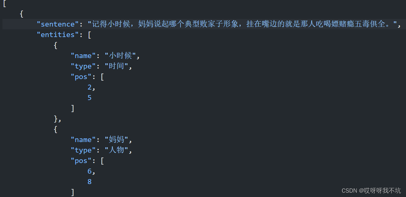 NER数据集转换-CSDN博客