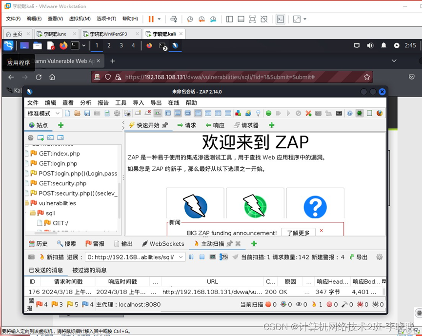 漏洞扫描技术_zaproxy-CSDN博客