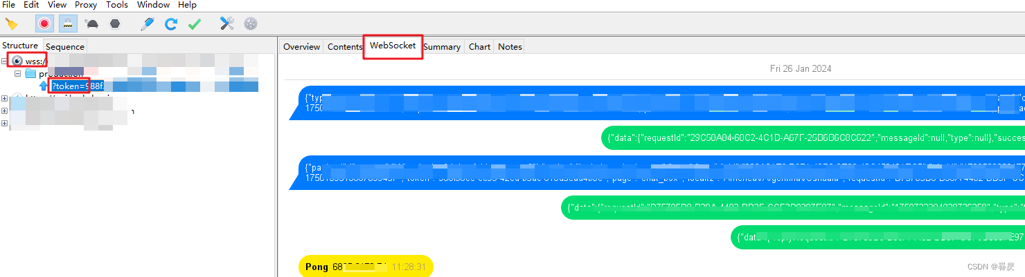 测试关于使用Charles之路_charles access-CSDN博客