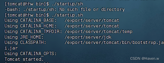 在Linux启动tomcat时，提示Cannot find ./catalina.sh_cannot find catalina.sh-CSDN博客