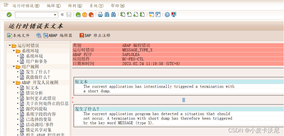 ABAP MESSAGE_TYPE_X_abap message type-CSDN博客